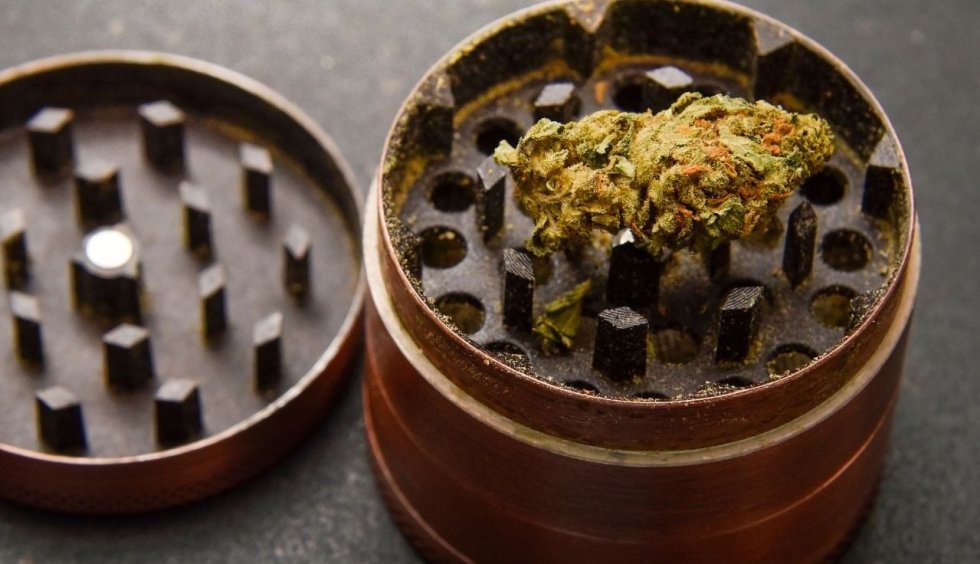 How to Clean a Grinder Screen: Step-by-Step Guide | The Bud Post